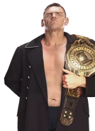 Gunther (WWE) | Antagonists Wiki | Fandom