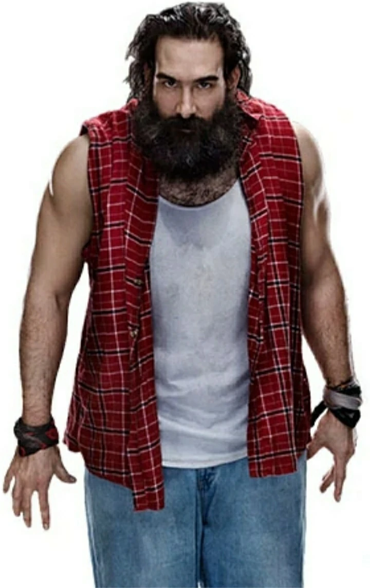 Luke Harper | Antagonists Wiki | Fandom