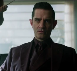 Theo Galavan | Antagonists Wiki | Fandom