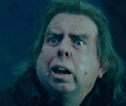 Peter Pettigrew Harry Potter Actor
