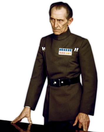 jason tarkin