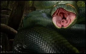 Giant Python | Antagonists Wiki | Fandom