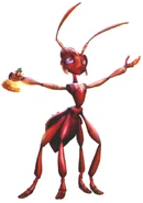 Zoc/Gallery | Antbully Wiki | Fandom