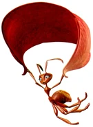 Hova/Gallery | Antbully Wiki | Fandom