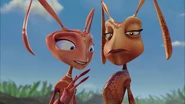 Hova And Kreela Antbully Wiki Fandom