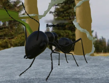 Super Major | Antelligence: Ant Colony Game Wiki | Fandom