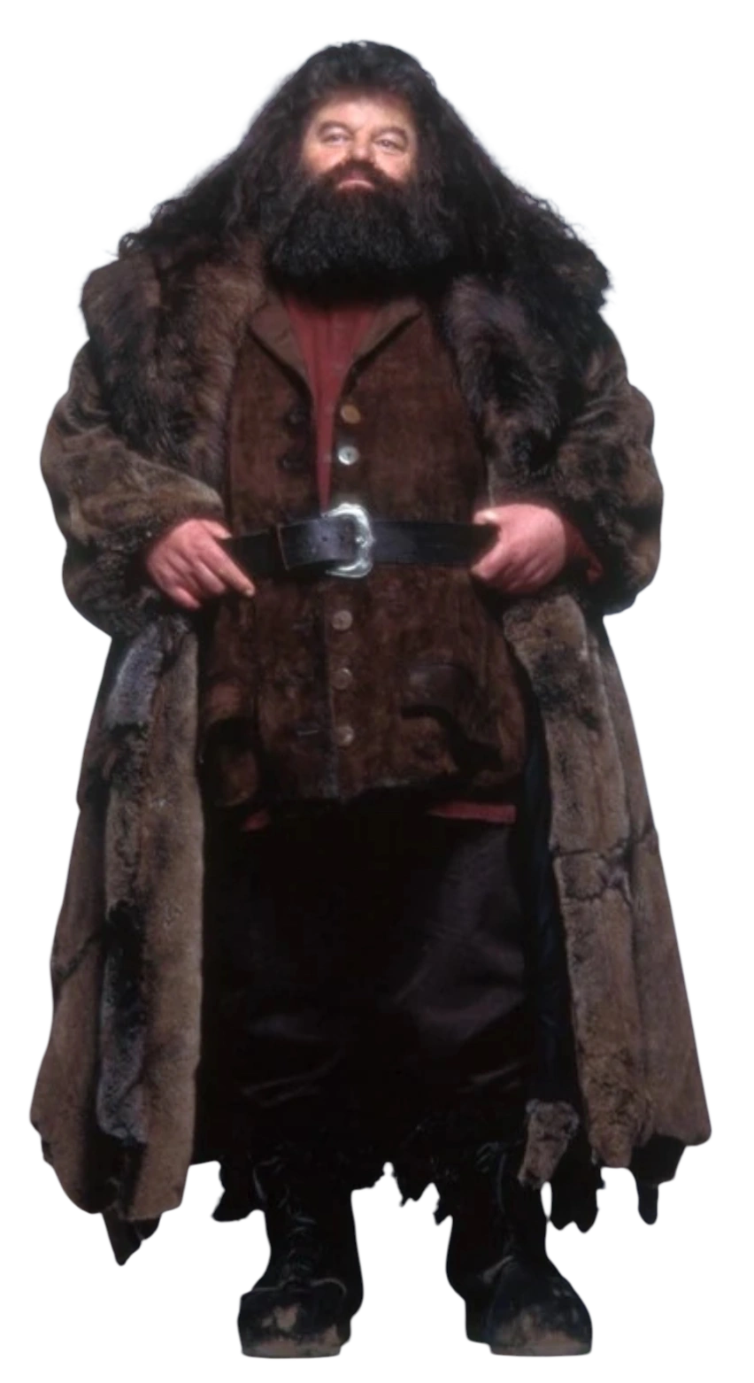 Professor Rubeus Hagrid | The 5D-Combined-Shared Crossovers for An The ...