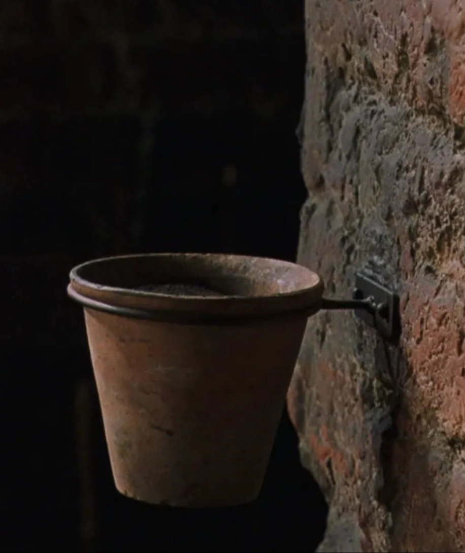 Extraordinary Floo Powder | The 5D-Combined-Shared Crossovers for An ...