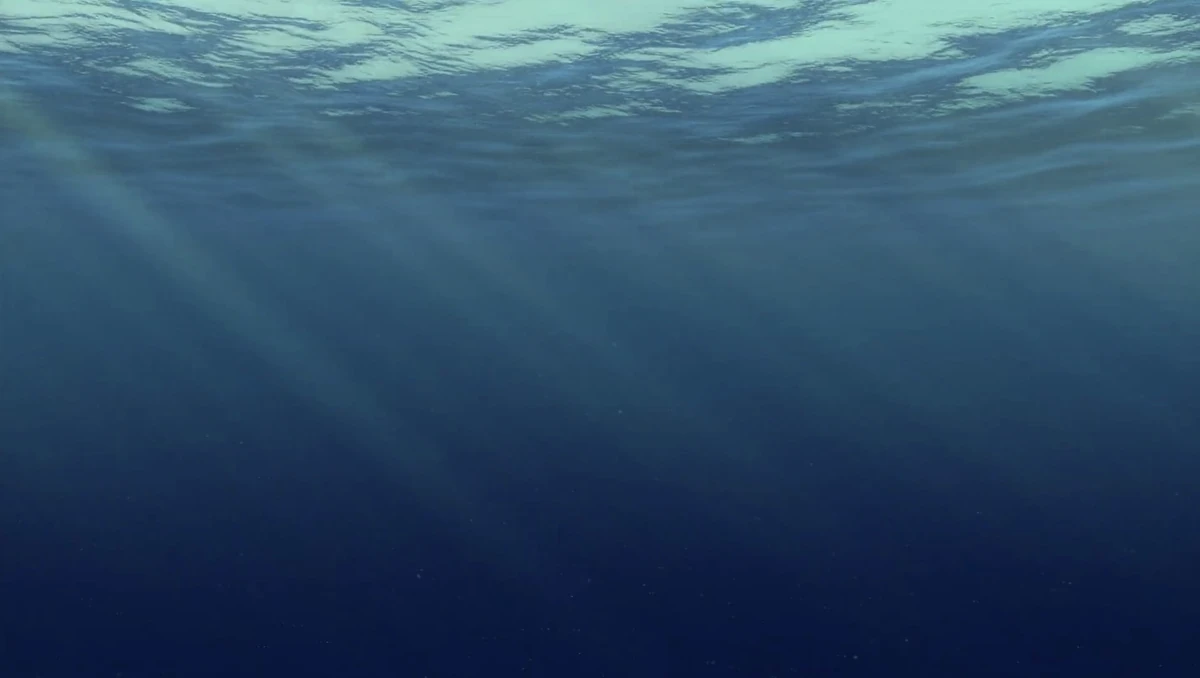 Pixar's Finding Nemo/Gallery/Animation-Screencaps | The 5D-Combined ...