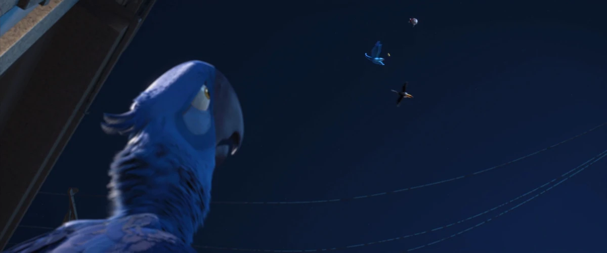 Nico An-Yellow Canary/Gallery/Animation-Screencaps | The 5D-Combined ...