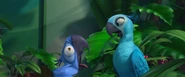 Rio 1 (2011)/Gallery/Animation-Screencaps | The 5D-Combined-Shared ...