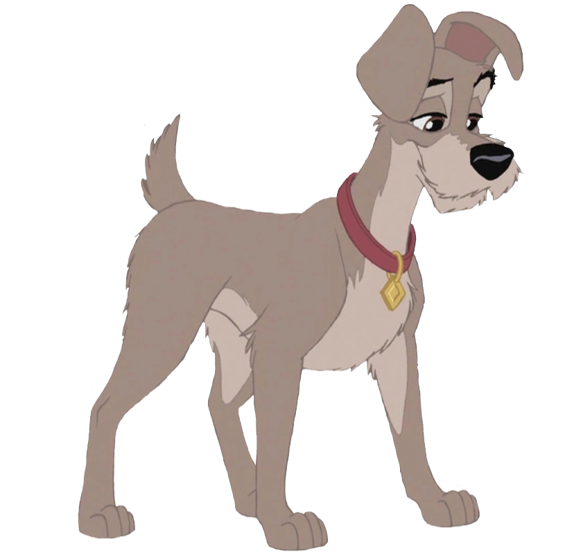 An Brownish-Gray-Mutt Tramp | The 5D-Combined-Shared Crossovers for An ...