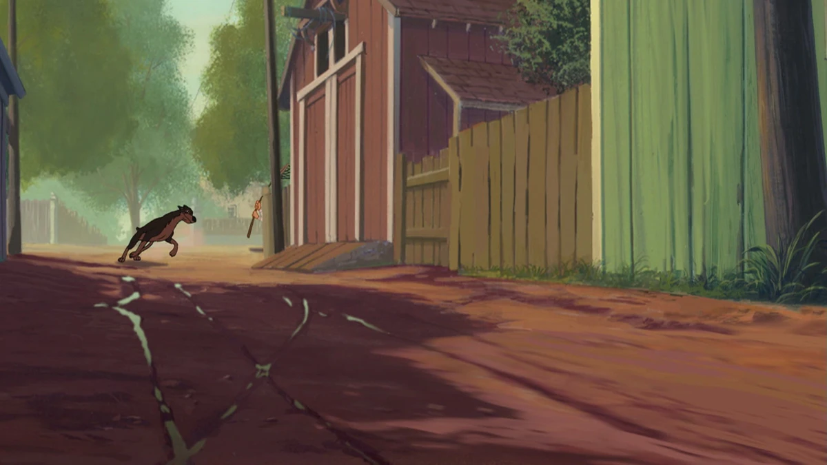 The Rottweiler-Pinscher-Mix•Doberman-Pinscher-Mix Buster/Gallery ...