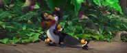 Rio 1 (2011)/Gallery/Animation-Screencaps | The 5D-Combined-Shared ...