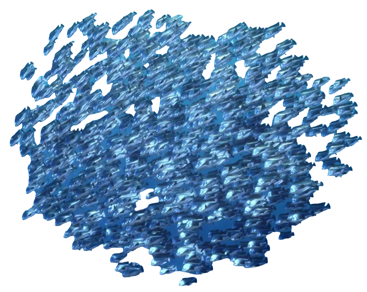 Moonfish (Finding Nemo) | The 5D-Combined-Shared Crossovers for An The ...