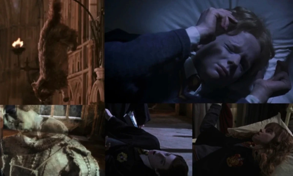 An Known-Petrification(-Harry Potter) | The 5D-Combined-Shared ...