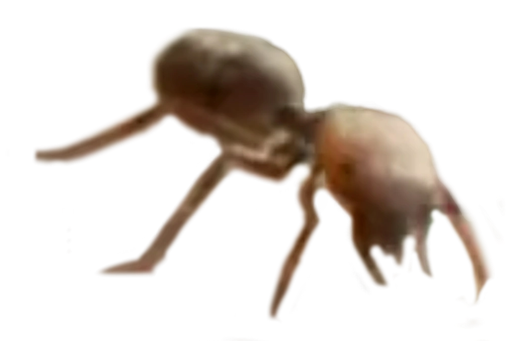 Siafu | The 5D-Combined-Shared Crossovers for An The-Good/Evil-Hybrid ...