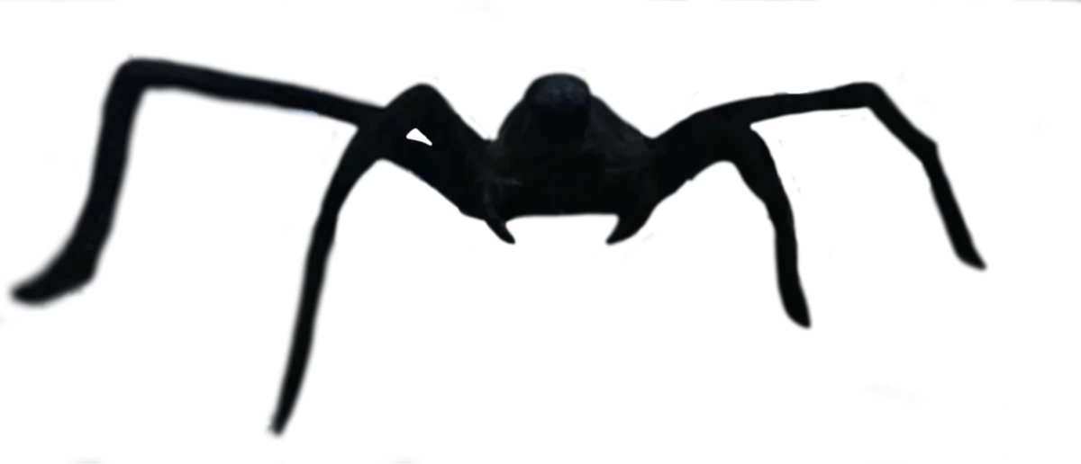 Aragog (Harry Potter) | The 5D-Combined-Shared Crossovers for An The ...