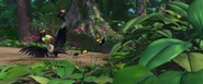 Rio 1 (2011)/Gallery/Animation-Screencaps | The 5D-Combined-Shared ...