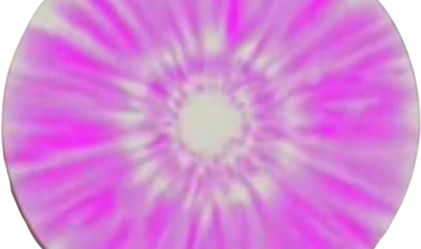 The Planet Z | The 5D-Combined-Shared Crossovers for An The-Good/Evil ...