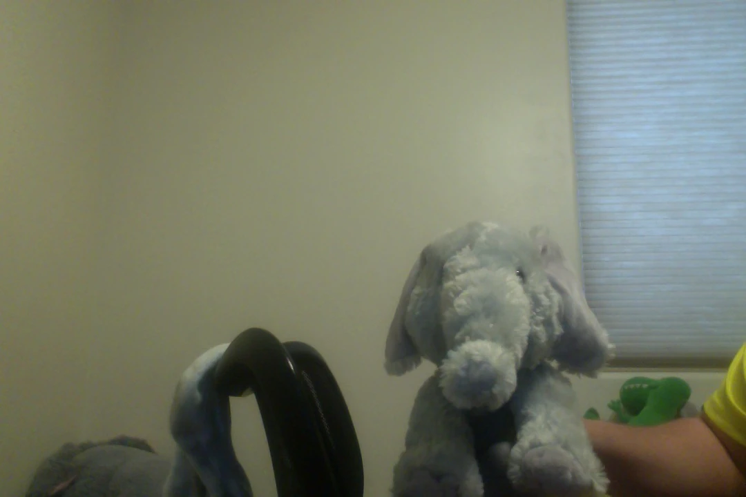 Gray Elephant | Anthony Bilardi Studios Wikia | Fandom