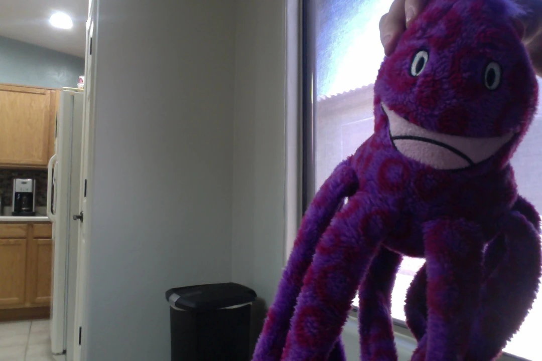 Purple Octopus | Anthony Bilardi Studios Wikia | Fandom