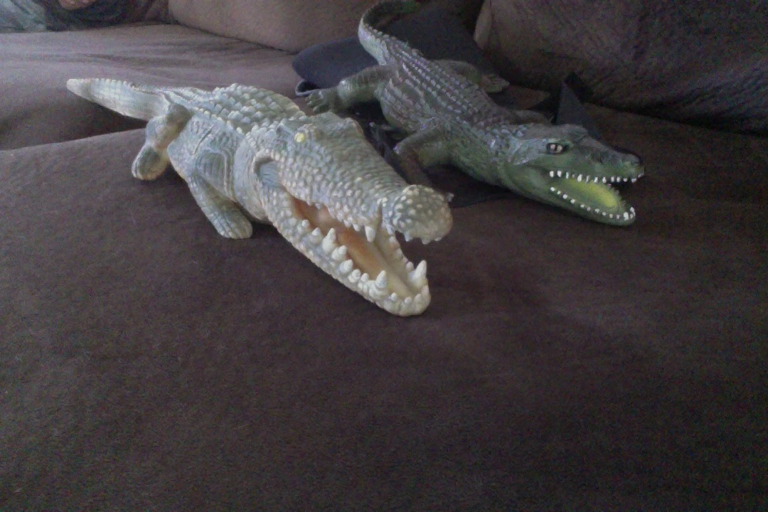 Blue Crocodile and Green Crocodile | Anthony Bilardi Studios Wikia | Fandom