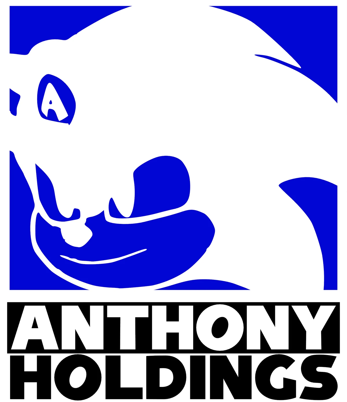 Anthony Holdings | Anthonynextgen Wiki | Fandom