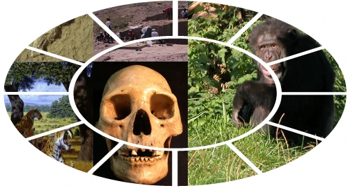 Evolutionary Anthropology Society | Anthropology Theory Project | Fandom