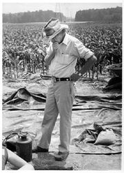 James Deetz | Anthropology Theory Project | Fandom