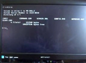 Scary (DOS Trojan) | Анти-Скримеры вики | Fandom