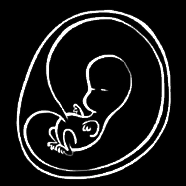 List of Signs | Antichamber Wiki | Fandom