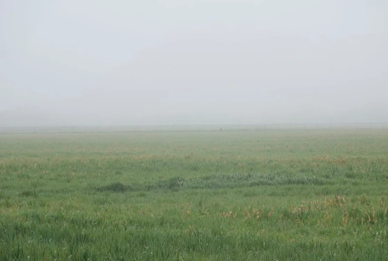 Level 10 | Antirooms Wiki | Fandom