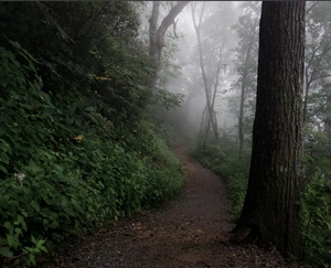 Level Anti 999:永恒下行 | Antirooms Wiki | Fandom