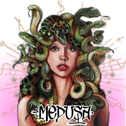 Medusa (CTS11) | Animation Next Top Model Wiki | Fandom
