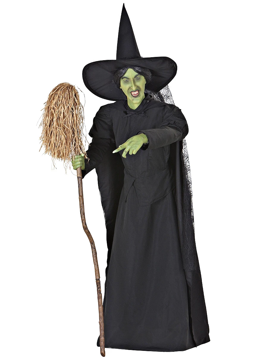 Wicked Witch (CTS3) | Animation Next Top Model Wiki | Fandom