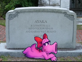 Birdo (CTS1) | Animation Next Top Model Wiki | Fandom