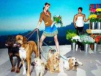 Lluvy Gomez | America's Next Top Model | Fandom