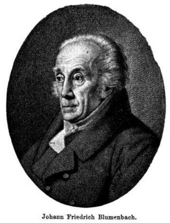 Johann Blumenbach | Antropología Wiki | Fandom