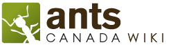 AntsCanada Wiki | Fandom