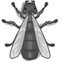 Alate | AntWar.io Wiki | Fandom