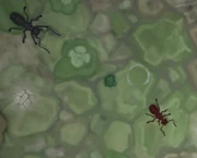 Acid Ant | AntWar.io Wiki | Fandom