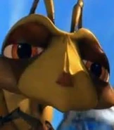 Muffy (Antz) | Antz.tonex Wiki | Fandom