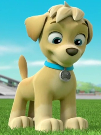 Tuck | Any Idea Wiki | Fandom