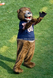 Staley Da Bear | Any Idea Wiki | Fandom