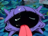 Misty's Pokémon | Anything Anime Related Wiki | Fandom