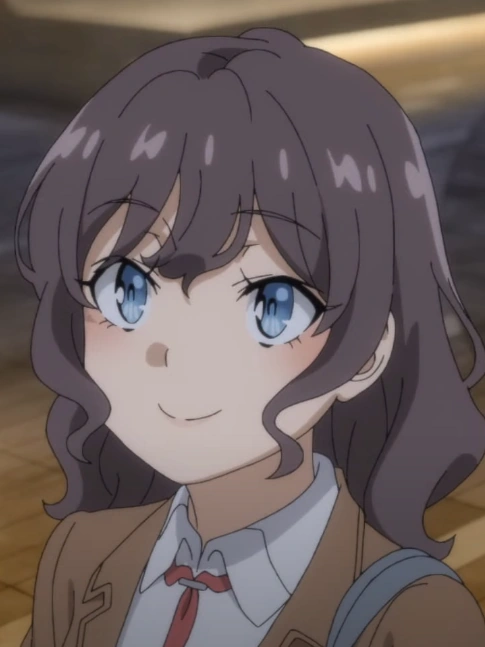 Sara Himeji | Seishun Buta Yarou wa Bunny Girl Senpai no Yume wo Minai ...