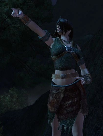 Vanir Acolyte (armor set) | AoCWiki | Fandom