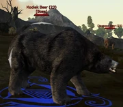 Corrupted Bear | AoCWiki | Fandom