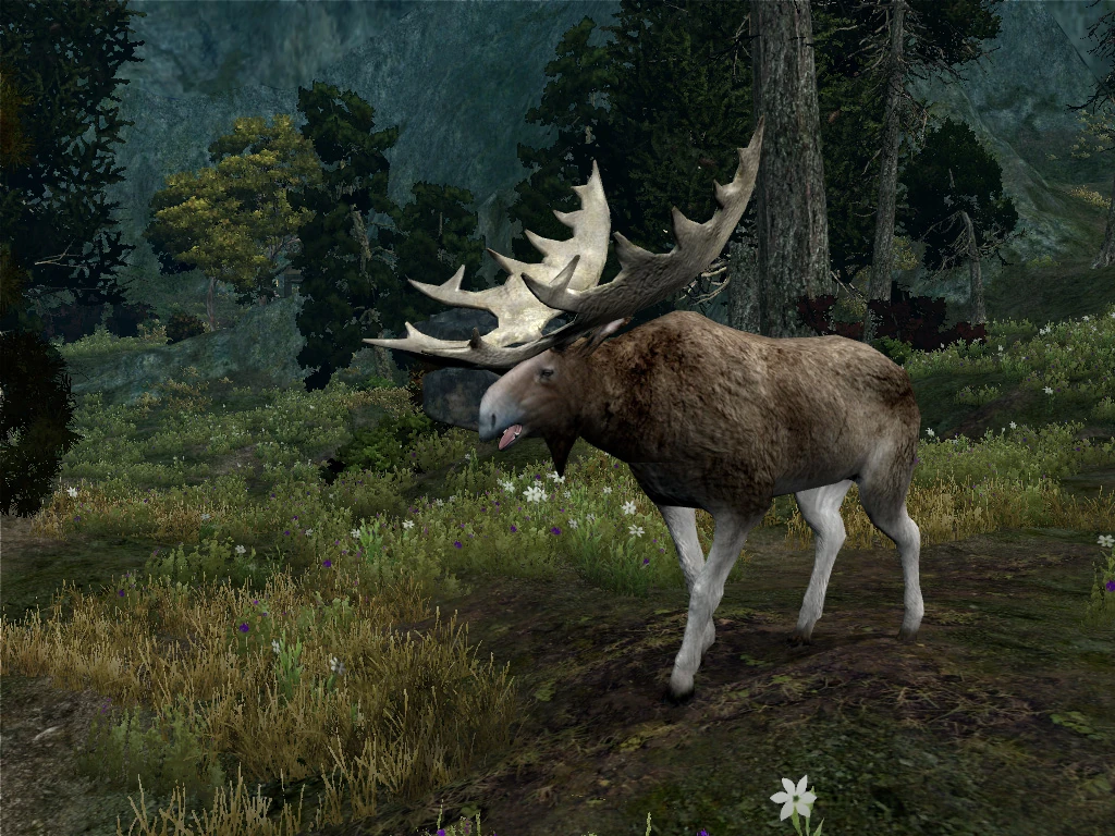 Moose | AoCWiki | Fandom